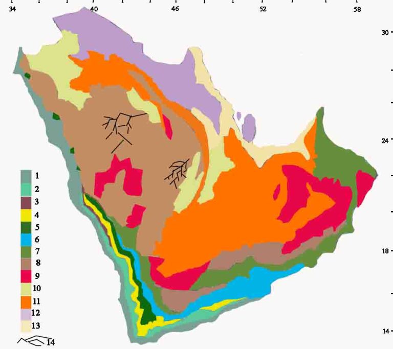 Plant Communites – Flora of Saudi Arabia
