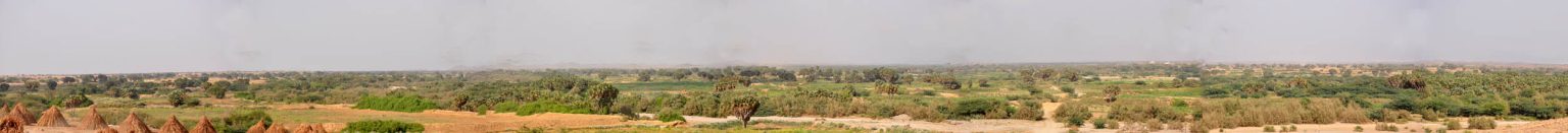 Vegetation – Flora of Saudi Arabia