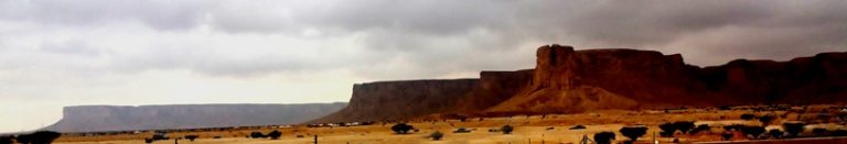 Central Region/Najd Area – Flora of Saudi Arabia