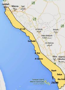 Southern Tihama – Flora of Saudi Arabia