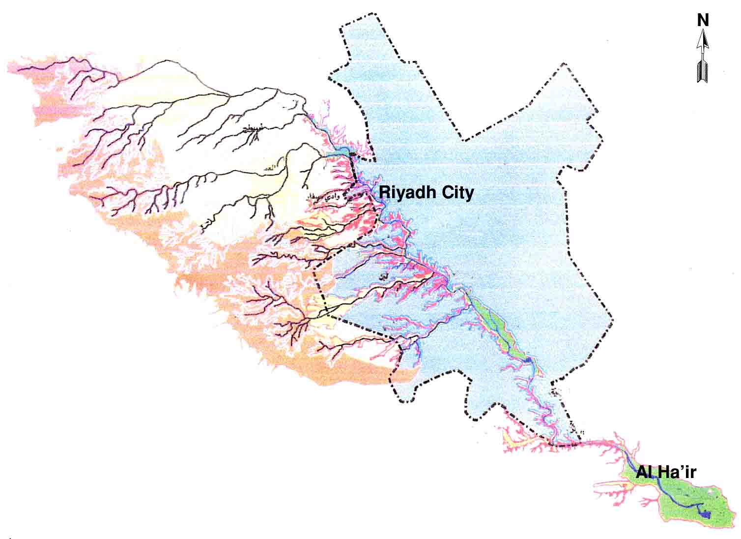 Wadi Hanifa – Flora of Saudi Arabia